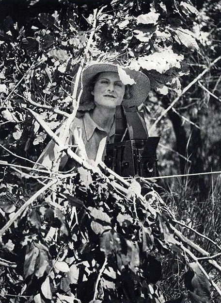 Walter Edward Guinness en Nouvelle-Bretagne – Détours d'Océanie