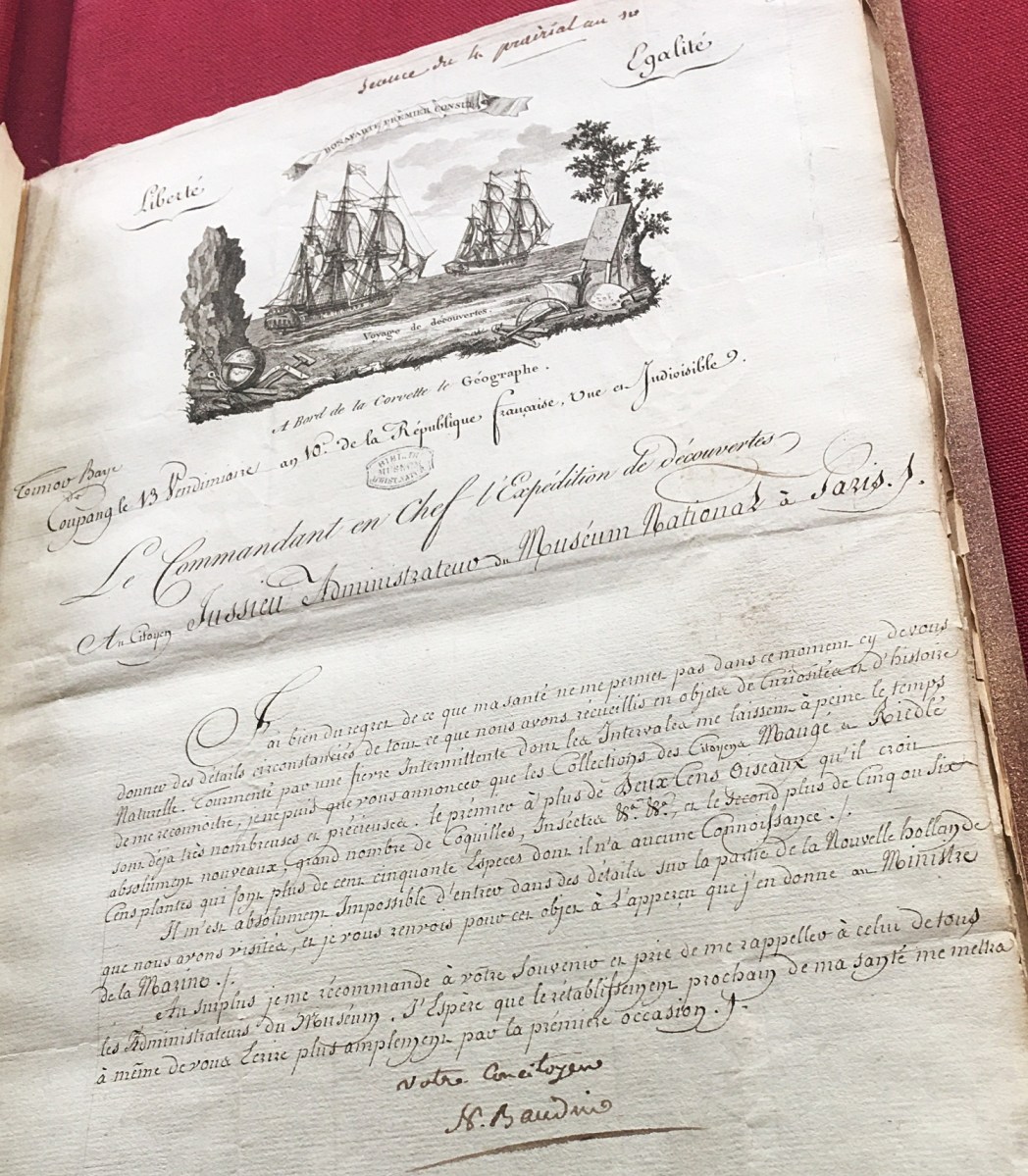 La Belle Angélique – Détours d'Océanie